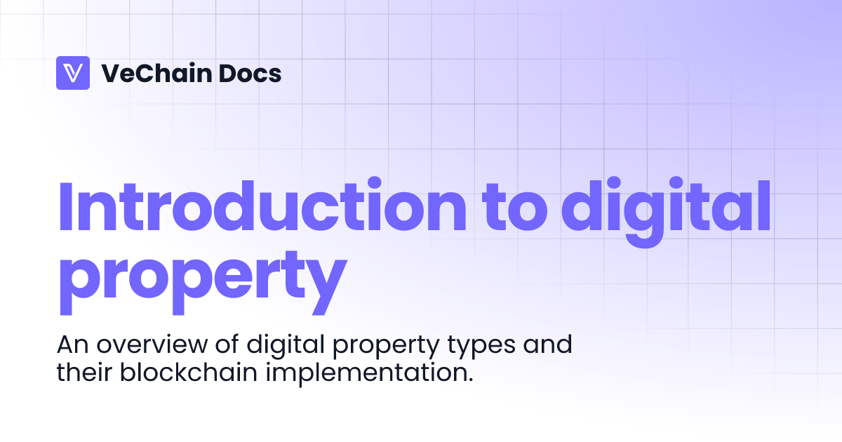 Introduction to digital property | VeChain Docs