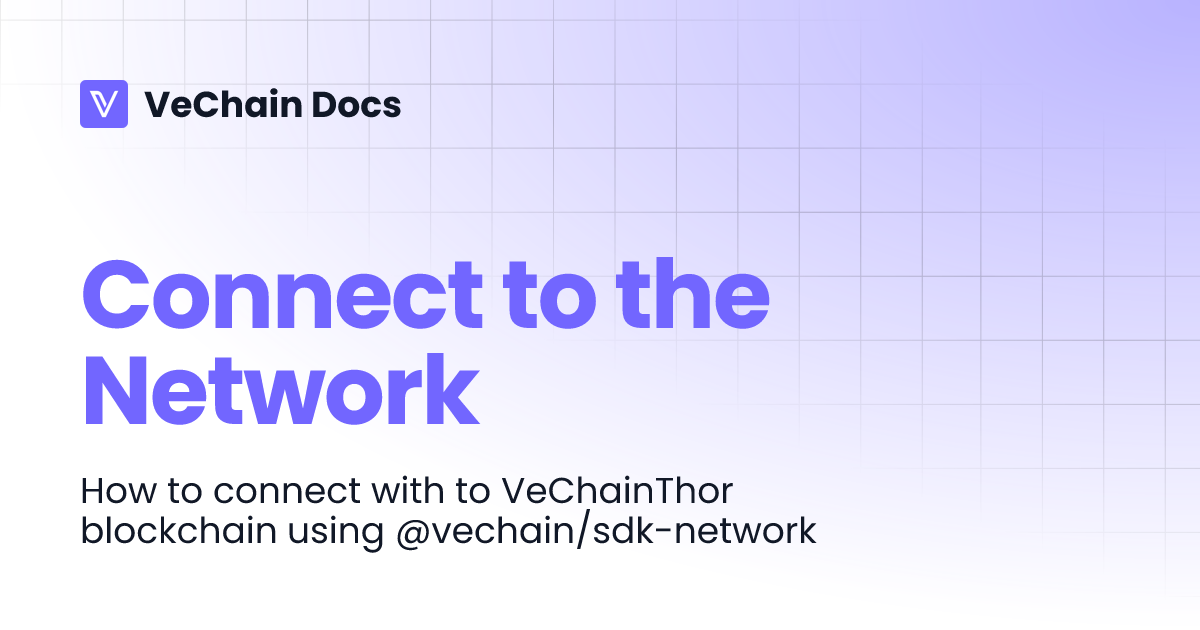 Connect to the Network | VeChain Docs