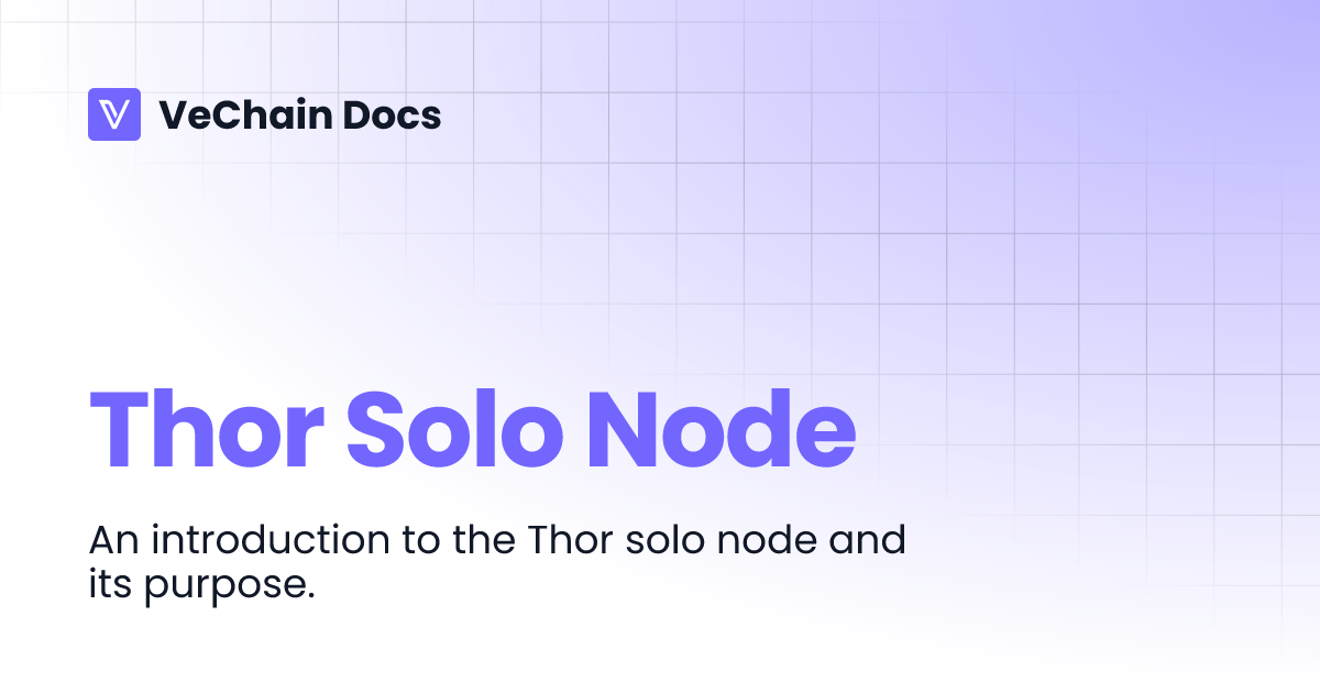 Thor Solo Node | VeChain Docs